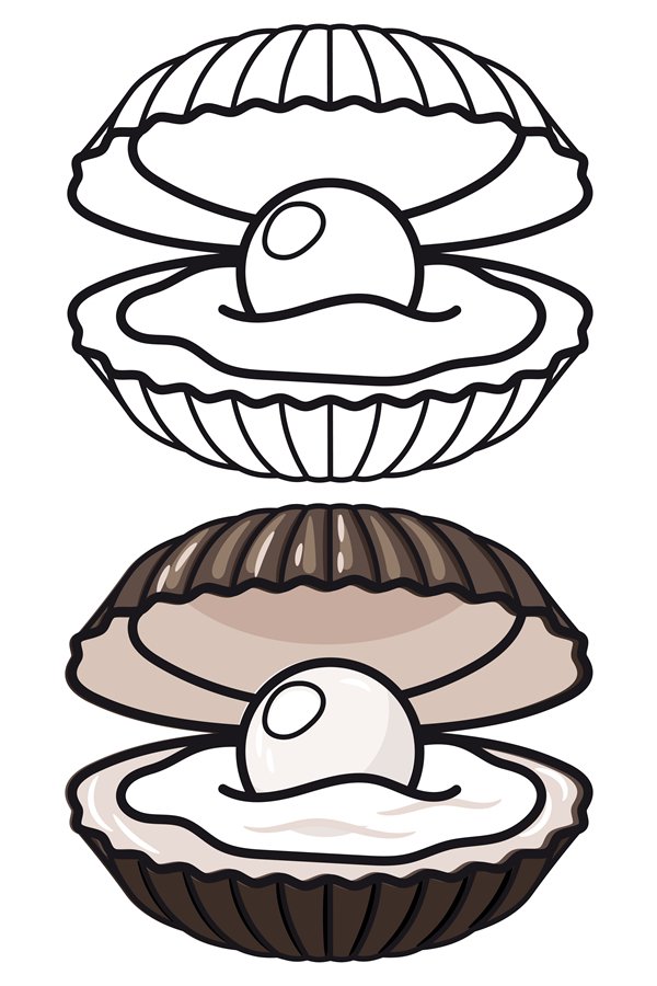 Cartoon and outline sea shell (889317)