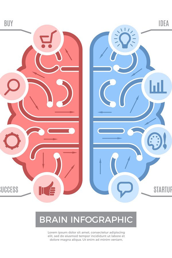 Brain infographic. Conceptual thinking learning symbols vect