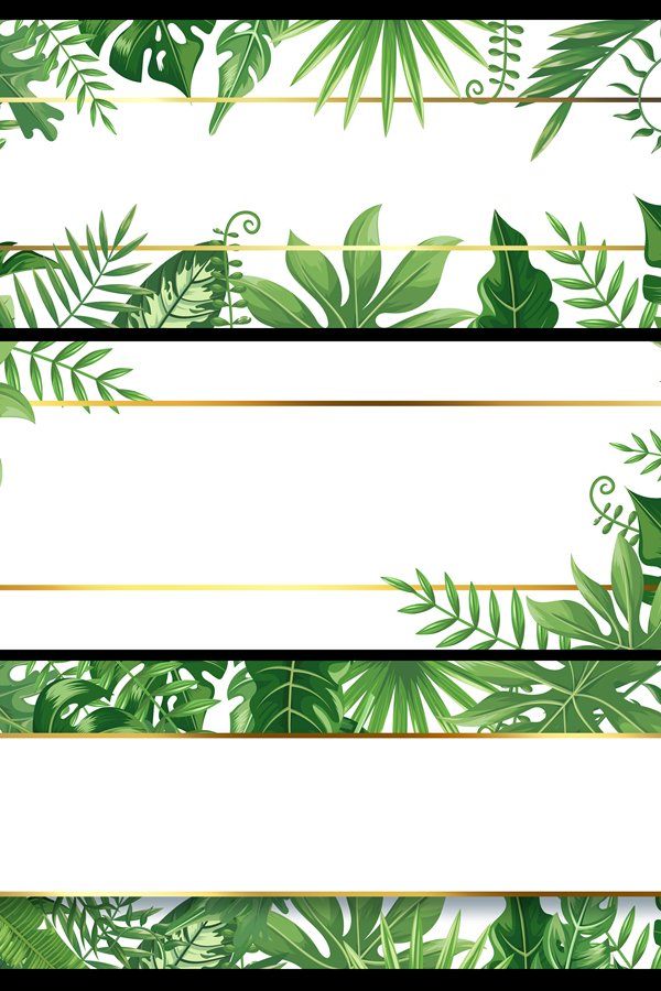 Tropical leaves banners. Exotic palm leaf banner, natural co