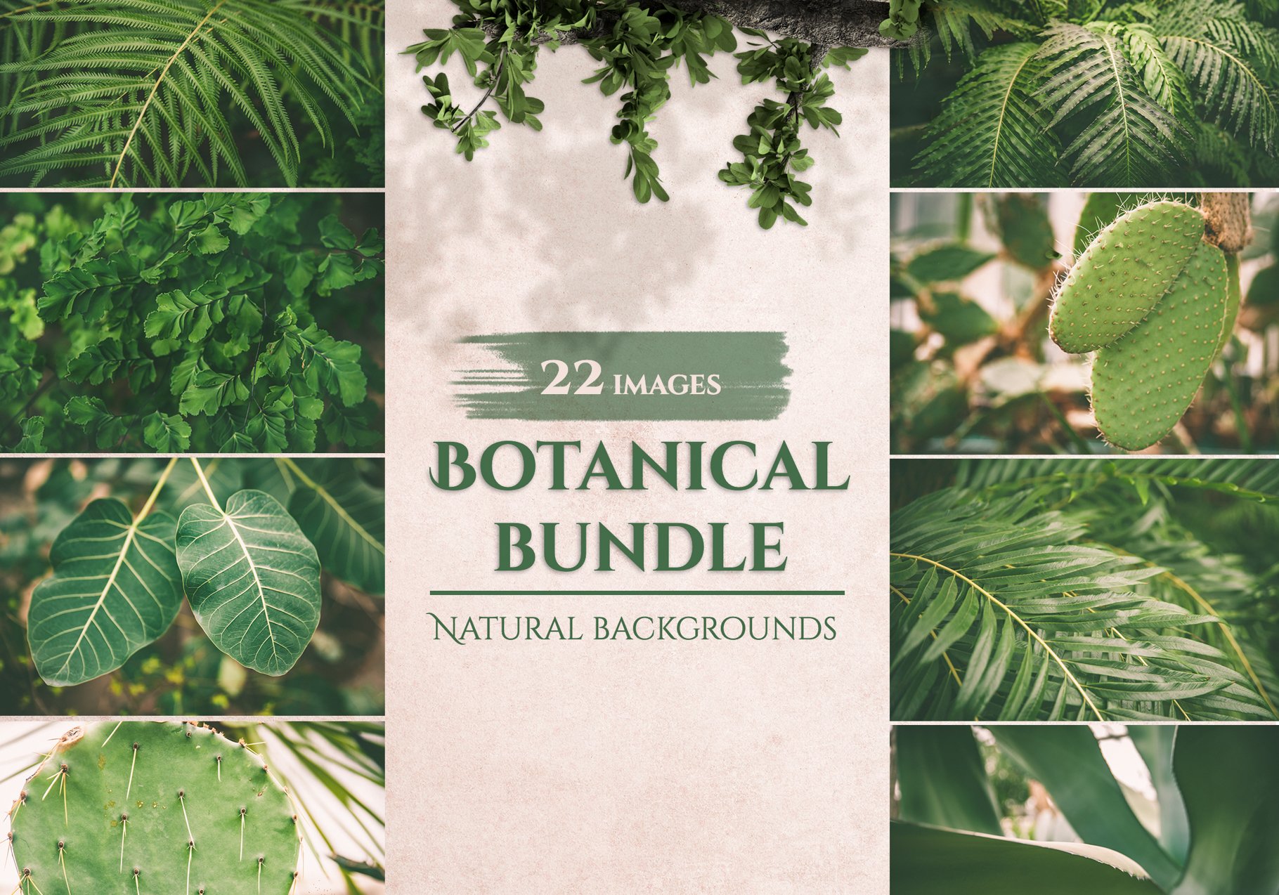 Botanical Bundle/Natural backgrounds