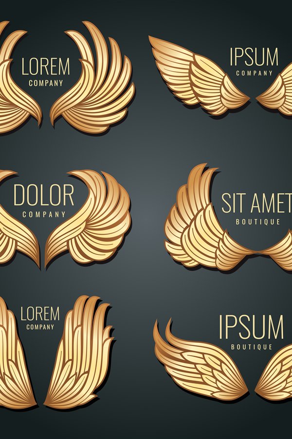 Golden wing logo vector set. Angels and bird elite gold labe