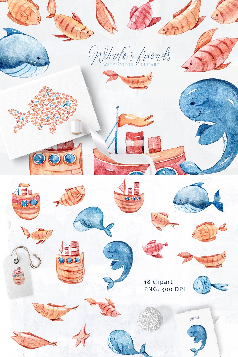 Watercolor sea animals clipart- 19 png files