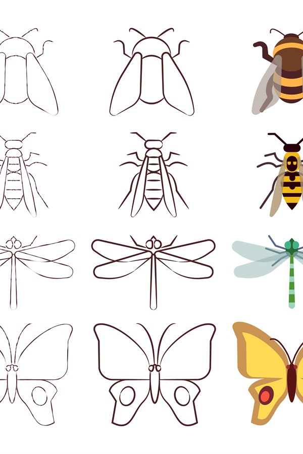 Sketch, line and flat insects collection