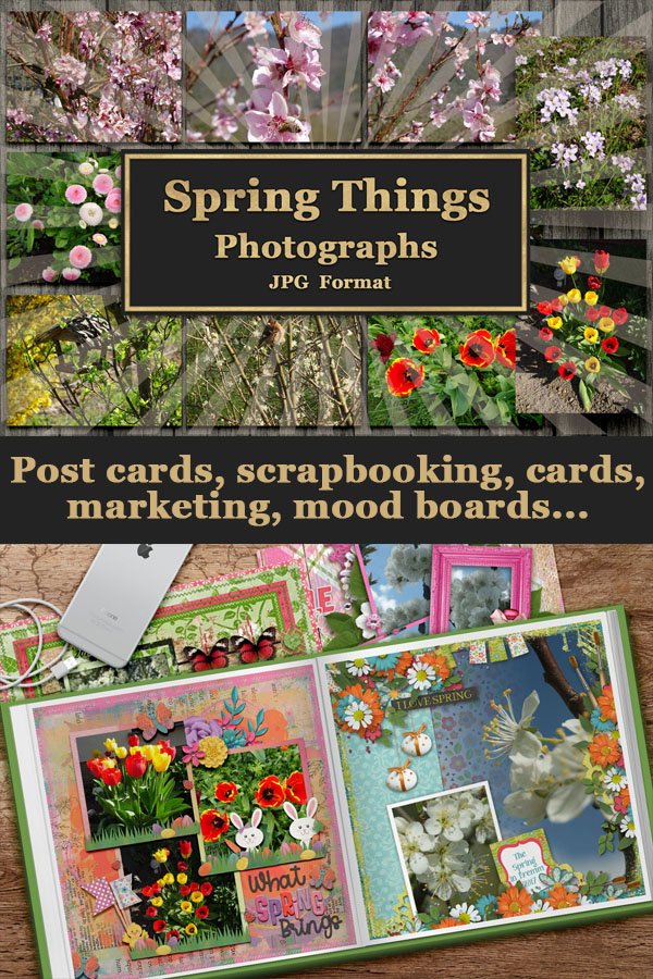 Spring Things Flowers and Foliage Photographs