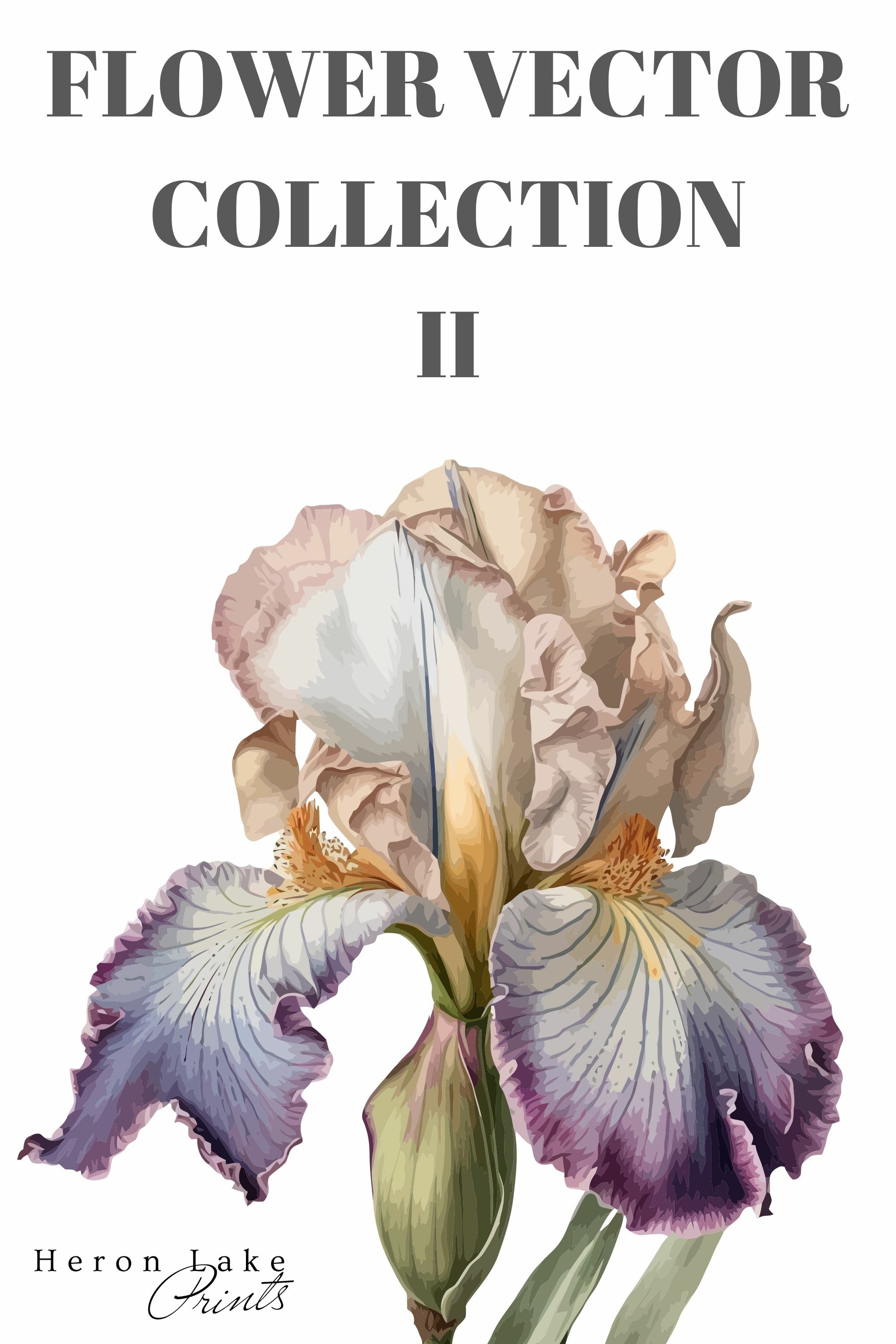 Variety of Botanical Flower Clip Art Vectors