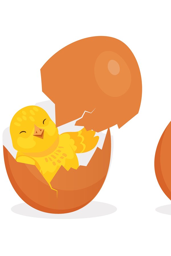 Cartoon cute baby chicken hatch from egg stages. Cracked egg