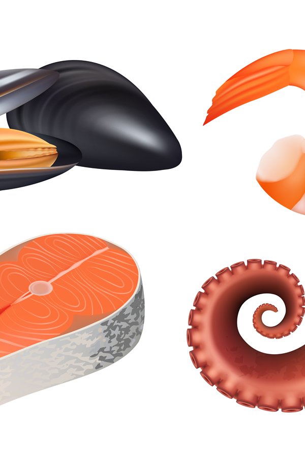 Sea food realistic. Fresh fish meal salmon uncooked natural