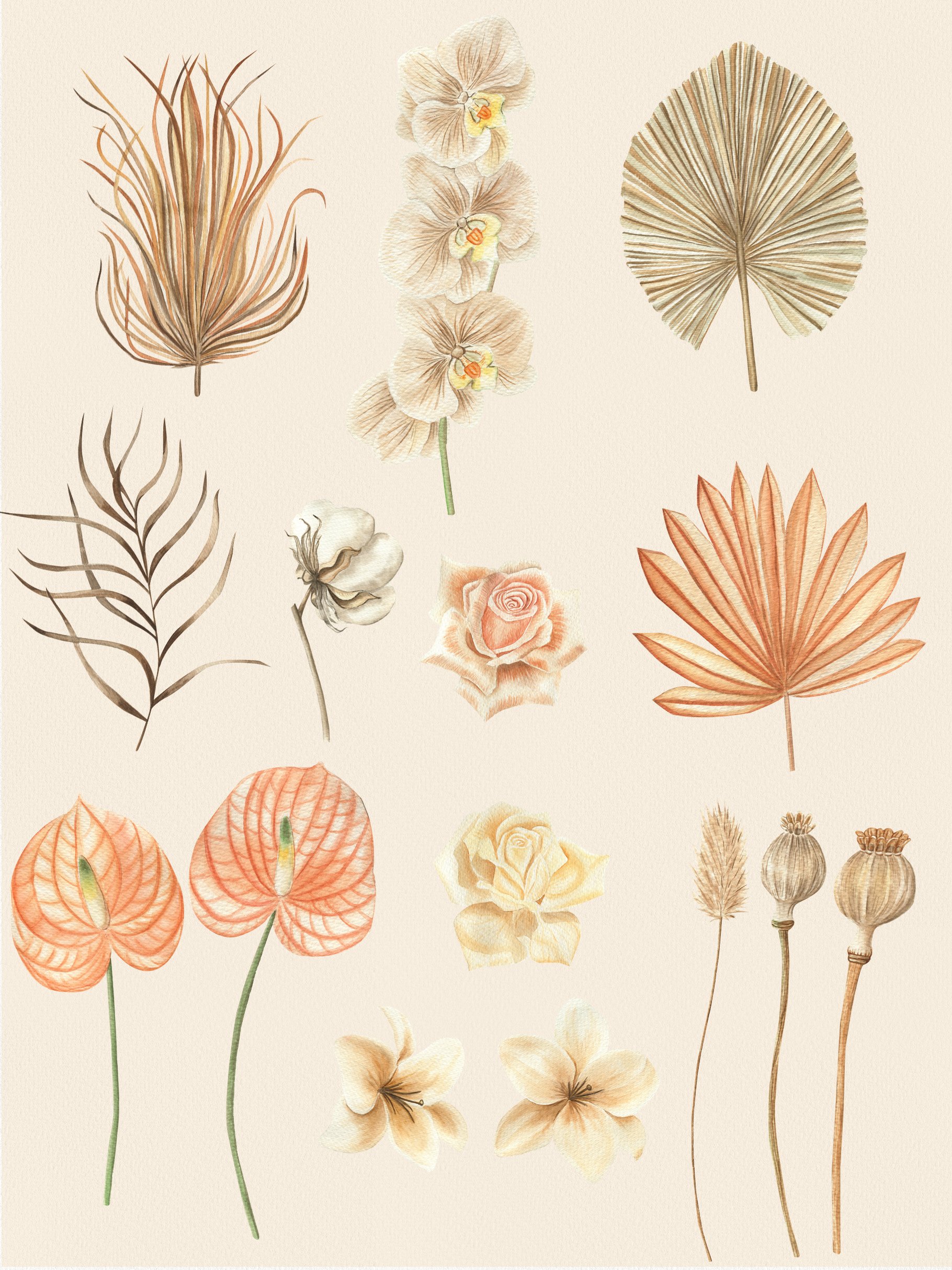 Watercolor boho plants (1231703)