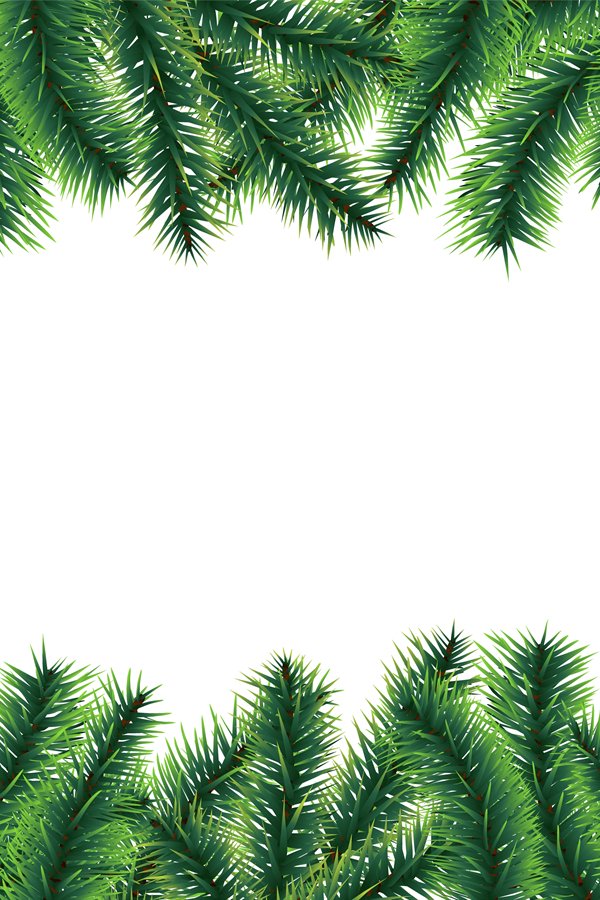 Christmas tree border. Holiday banner, vector fir tree branc