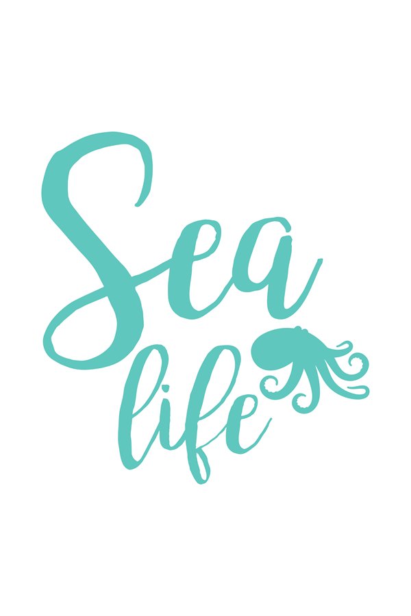 Octopus sea life lettering design