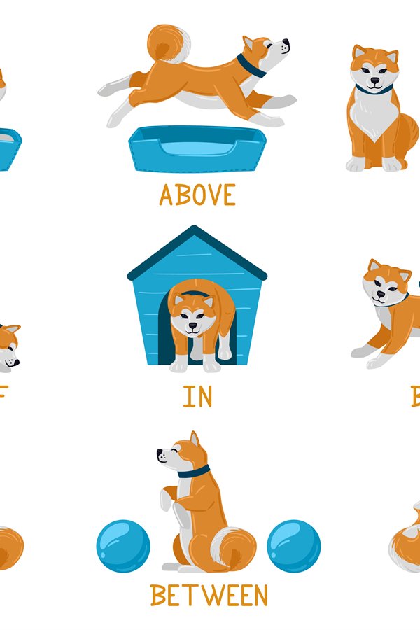 Learning english prepositions with cute cartoon puppy dog. C