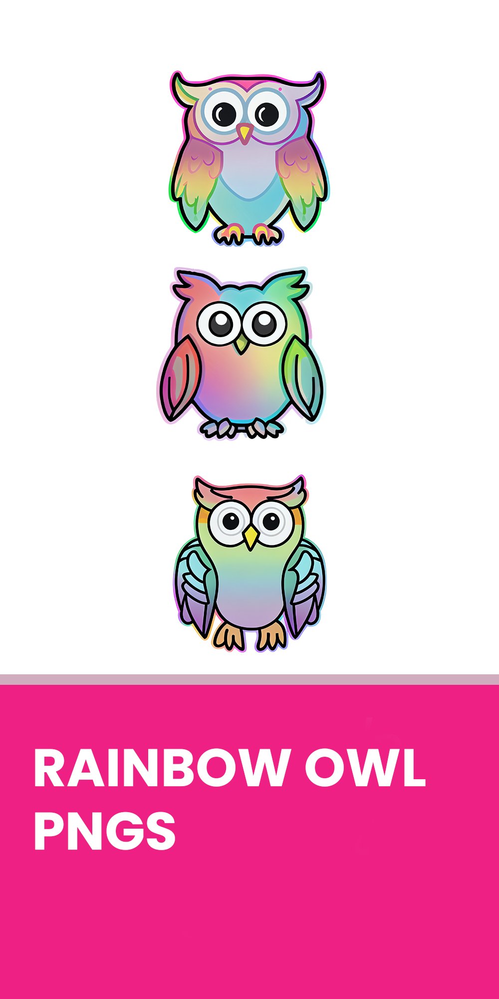 3 Rainbow Owl