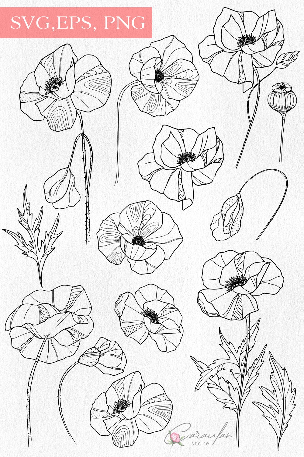 Poppy SVG, Poppy Flower Outline, Poppies Line Art