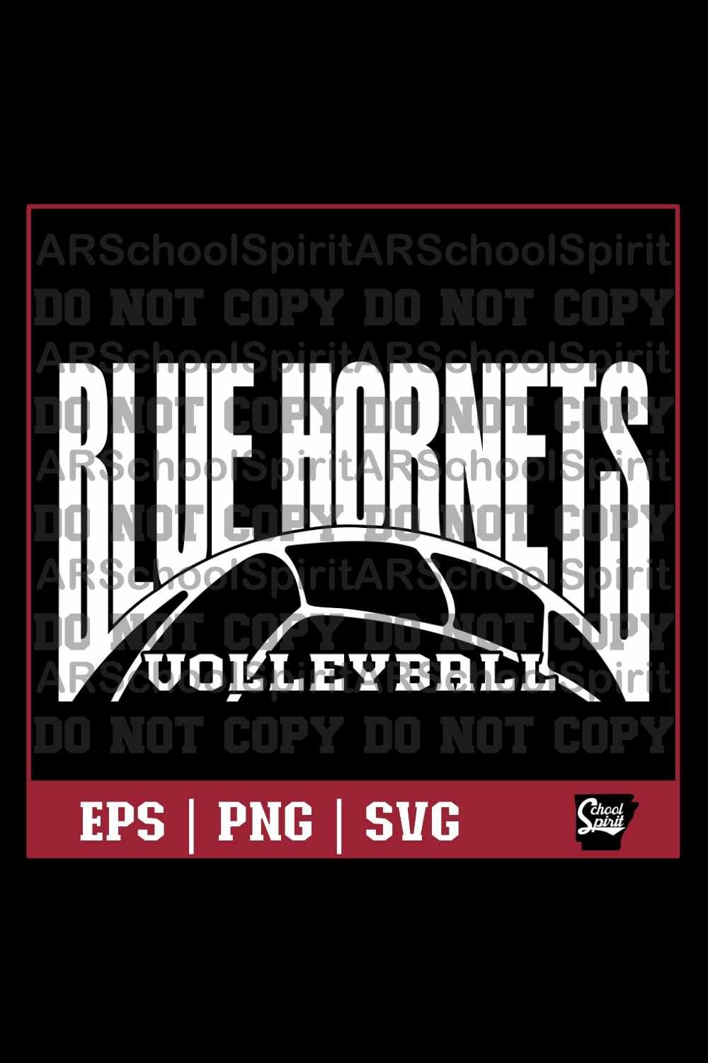KIPP-Delta Collegiate Blue Hornets Volleyball Design