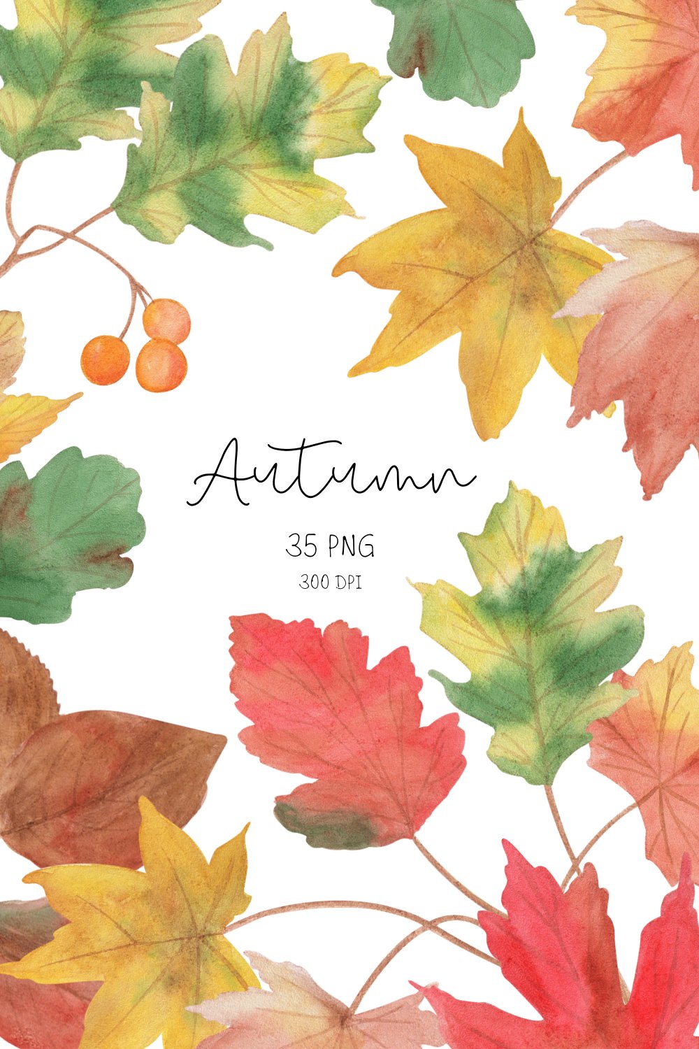 Autumn clipart watercolor leaf, fall leaves clipart