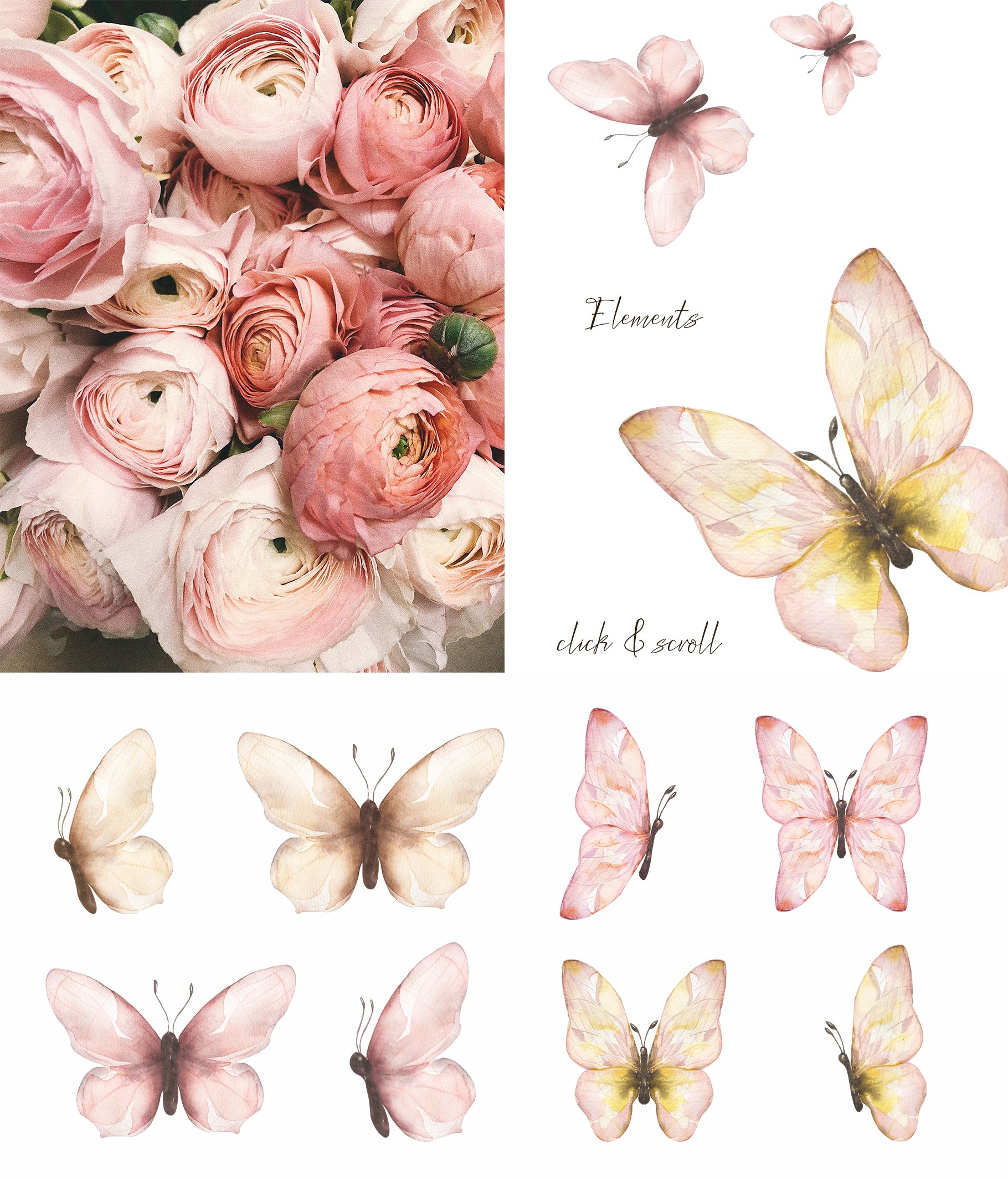 Watercolor Delicate Butterfly Set Bundle