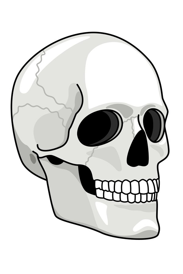Simple skull. Smiling skulls vector illustration for pirates