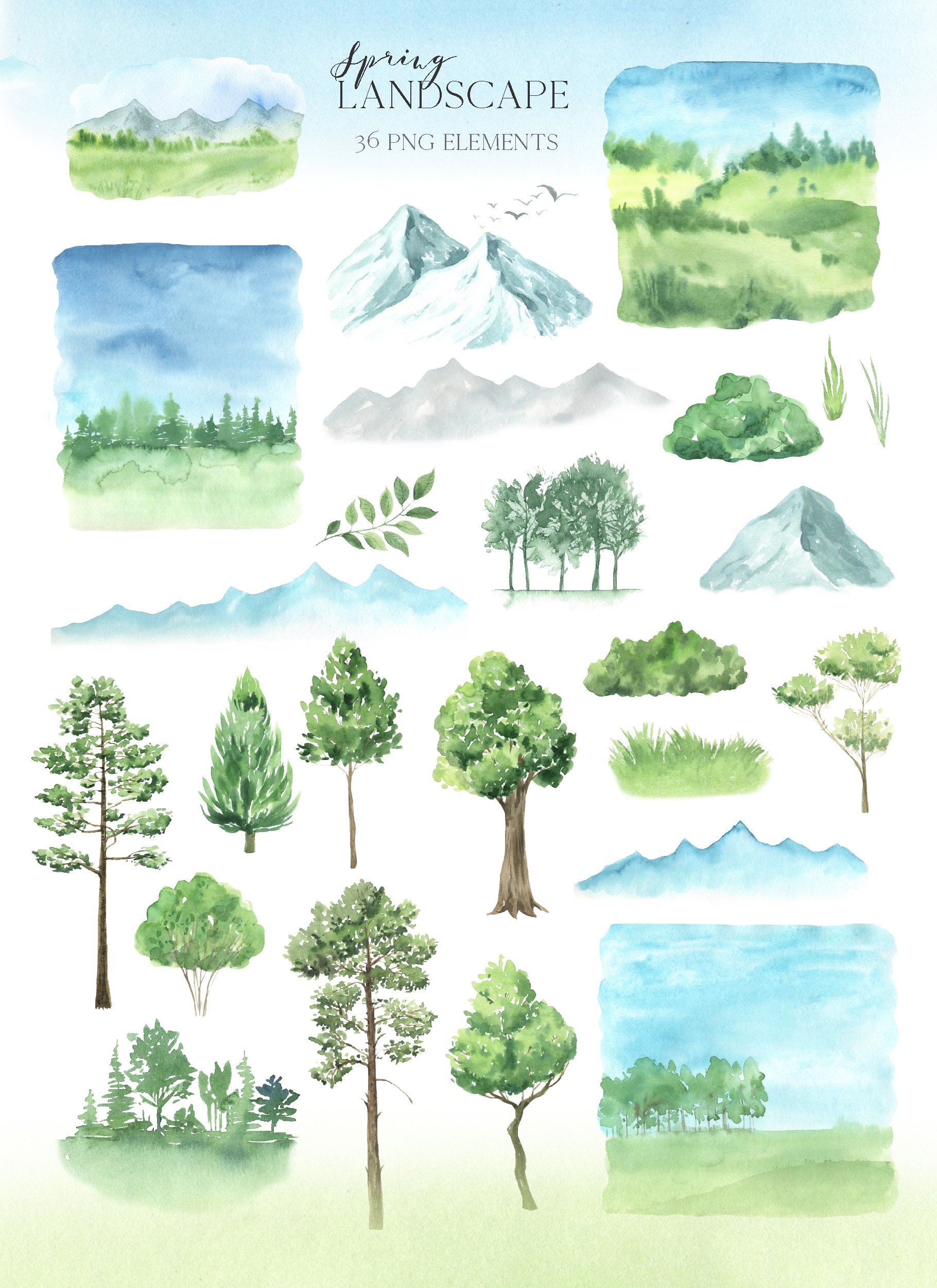 Watercolor Forest Landscape and Trees
