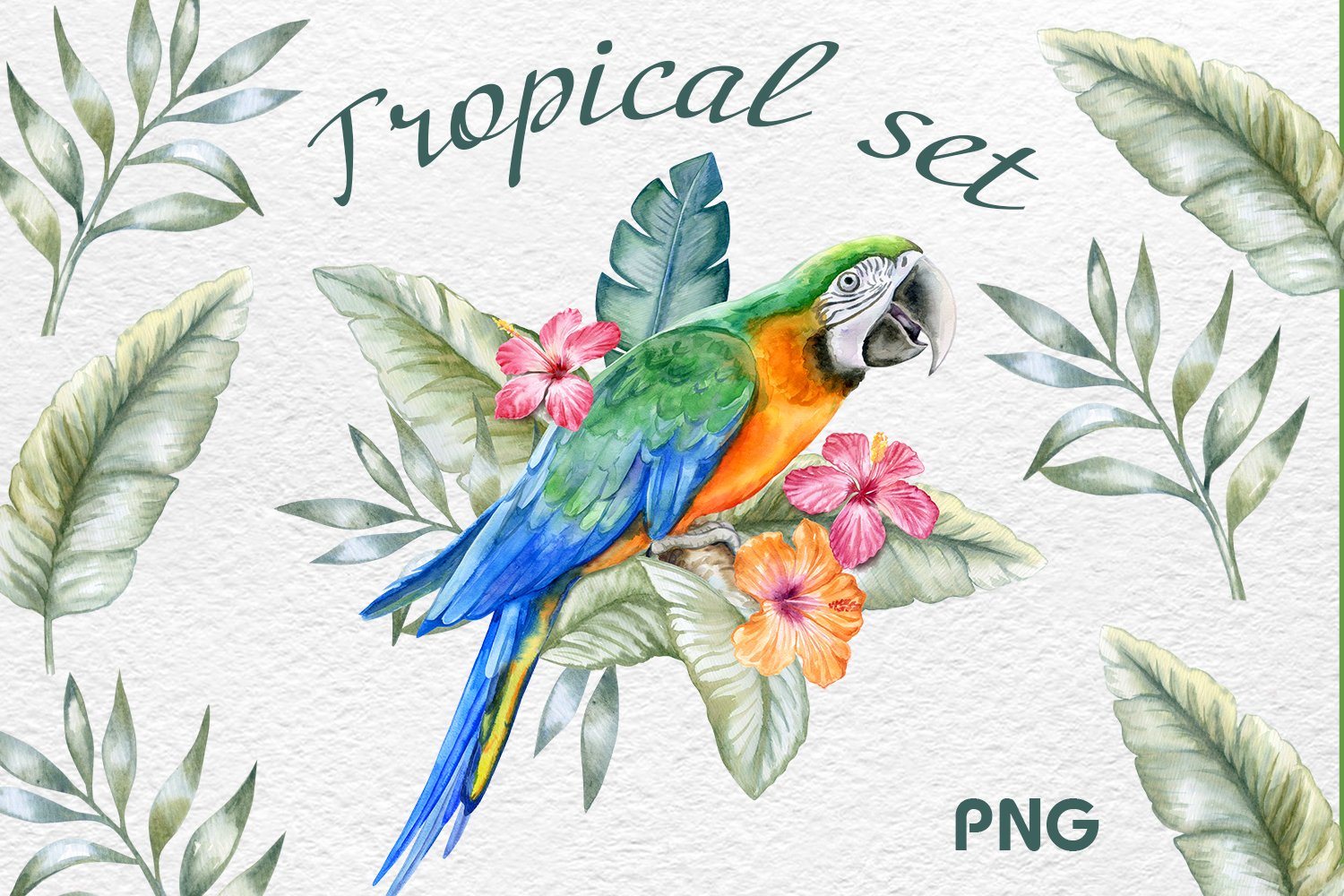 Parrot Macaw. Watercolor tropical set