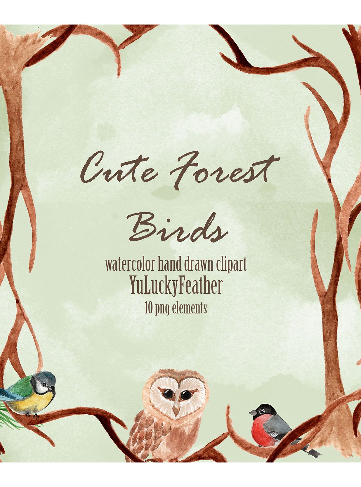 Cute forest birds