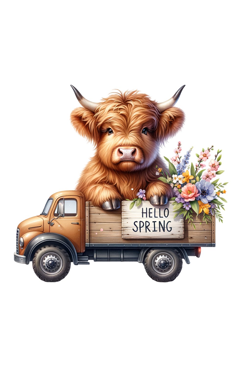 Highland Cow with Truck Spring Clipart PNG (3648846)