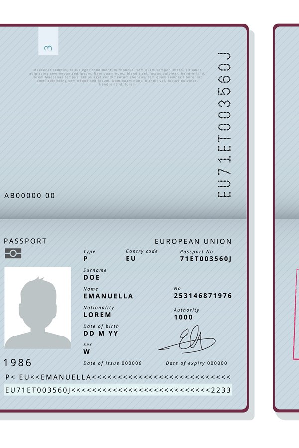 Passport template. Official id document visa sapling pages c
