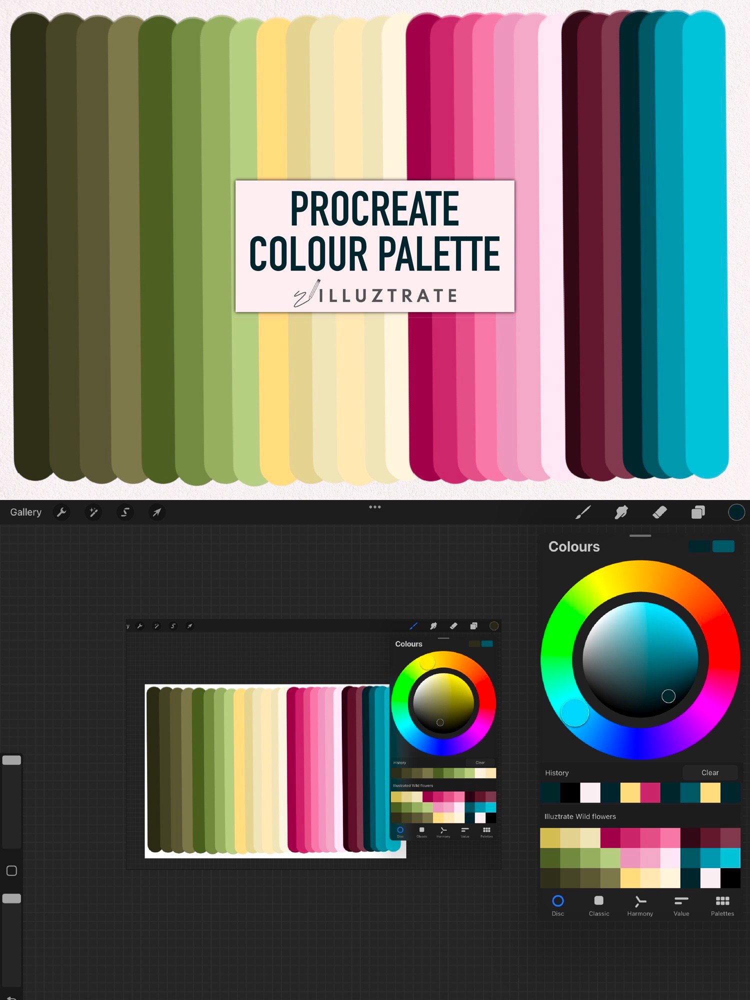 Floral Procreate Color Palette | Procreate Colour Palette