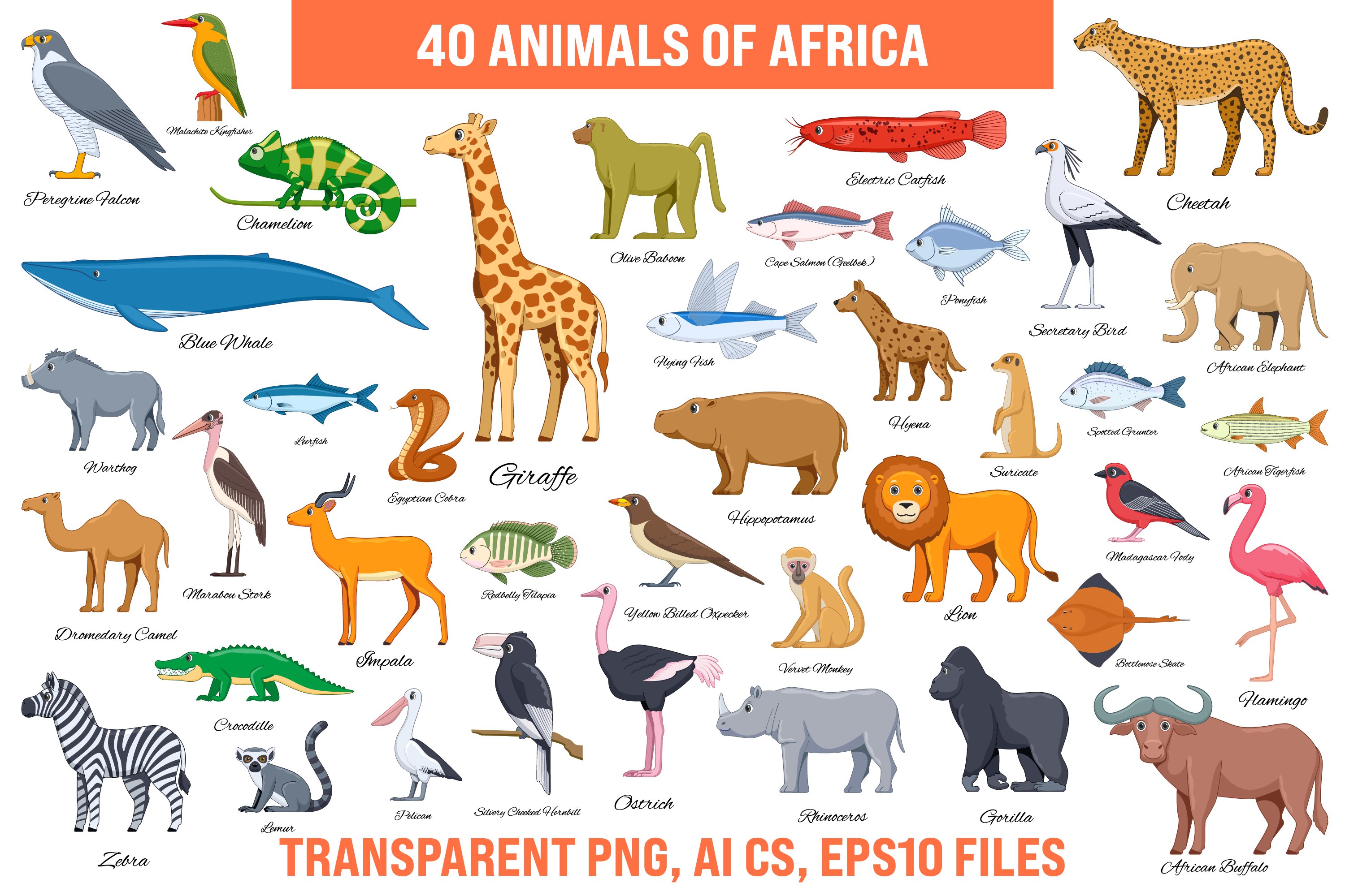 Animals of Africa Collection
