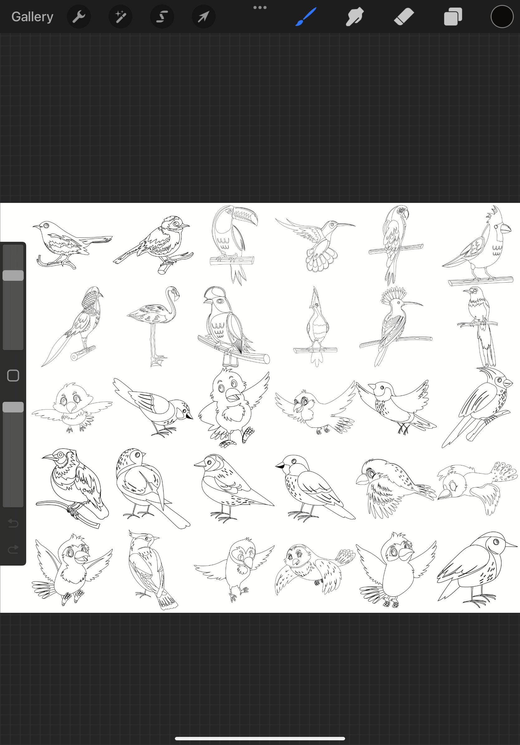 Birds Outlines Set 1 Procreate Brush Stamps, 30 Bird