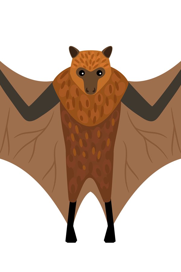 Flying fox icon