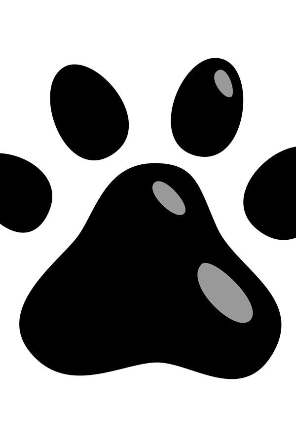 Cats paw icon. animals cat puppies mark foot prints vector i