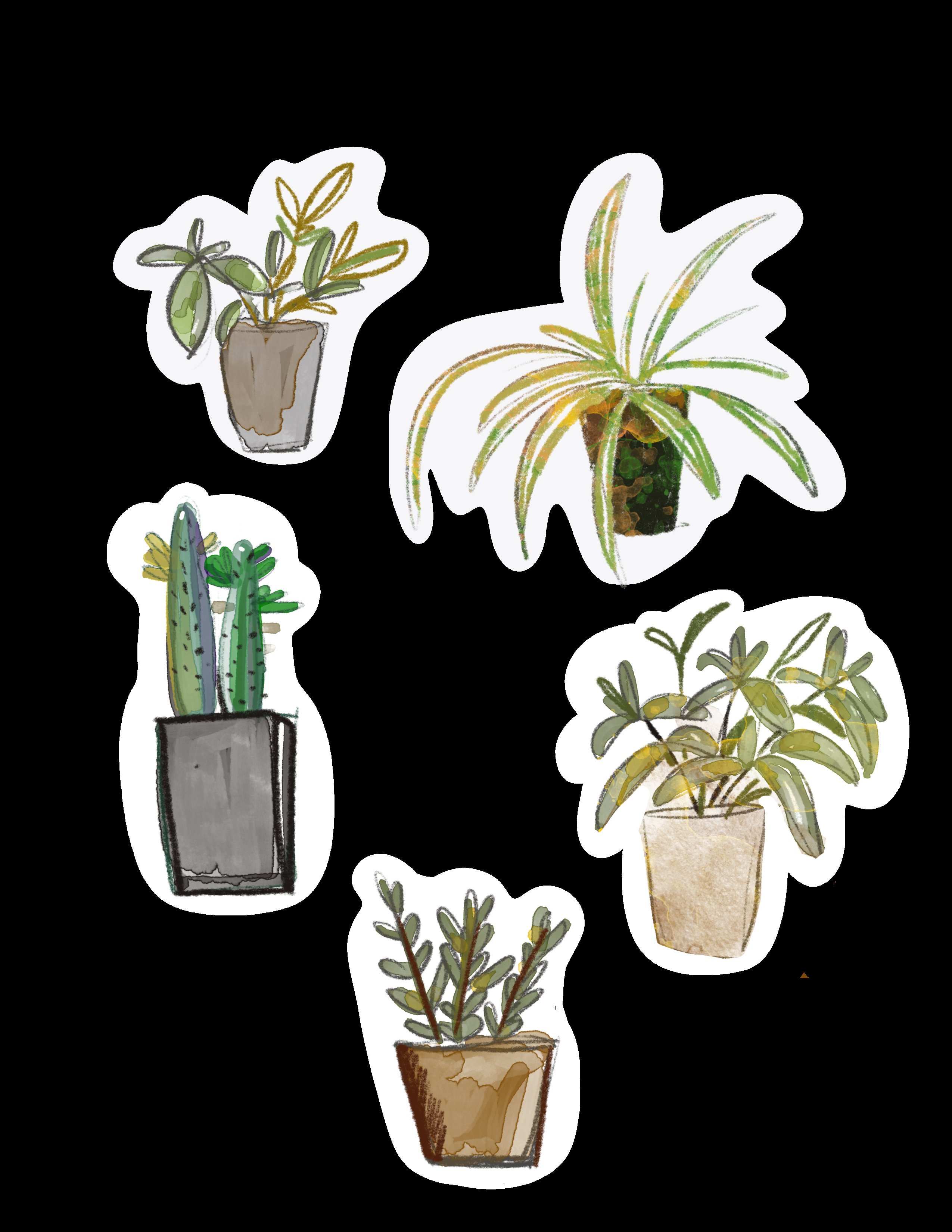 Cactus stickers. Plants in pot