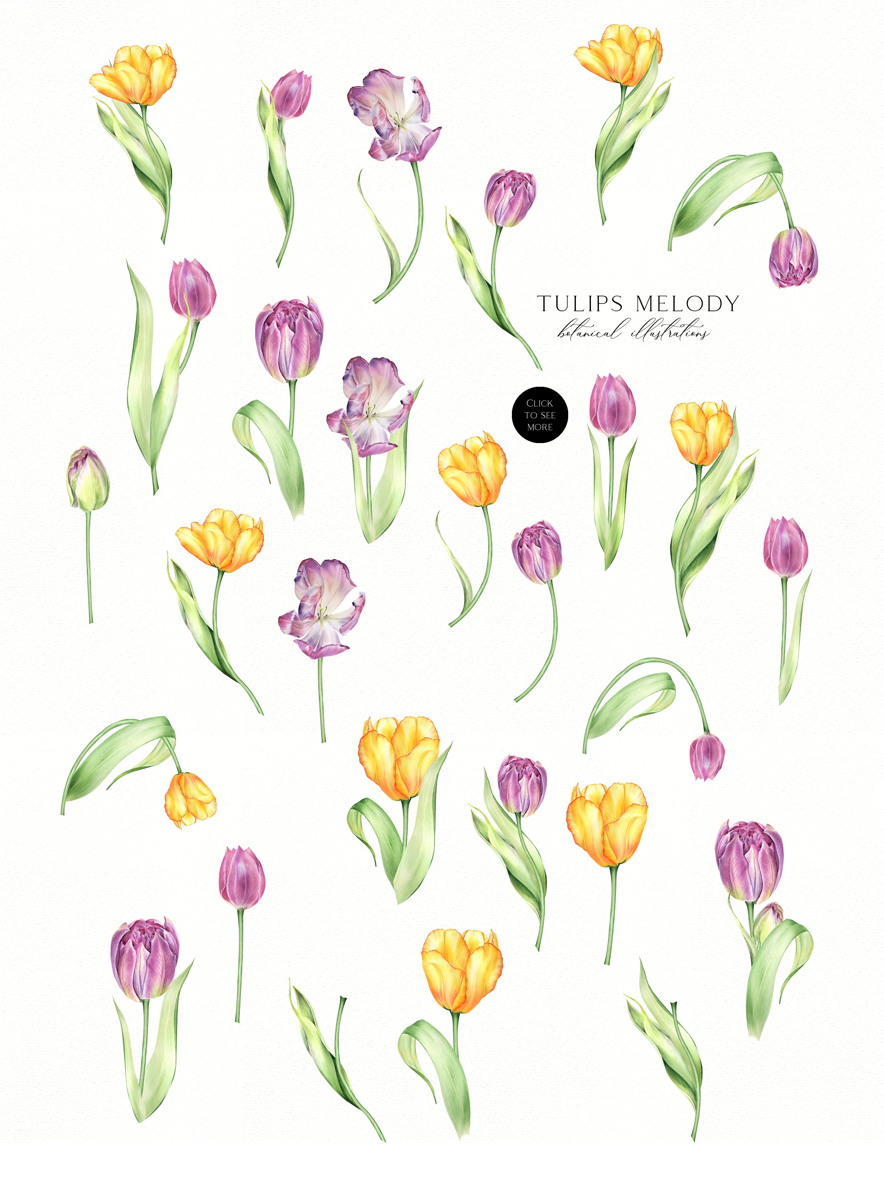 Watercolor tulips, Spring floral clipart pink flowers easter