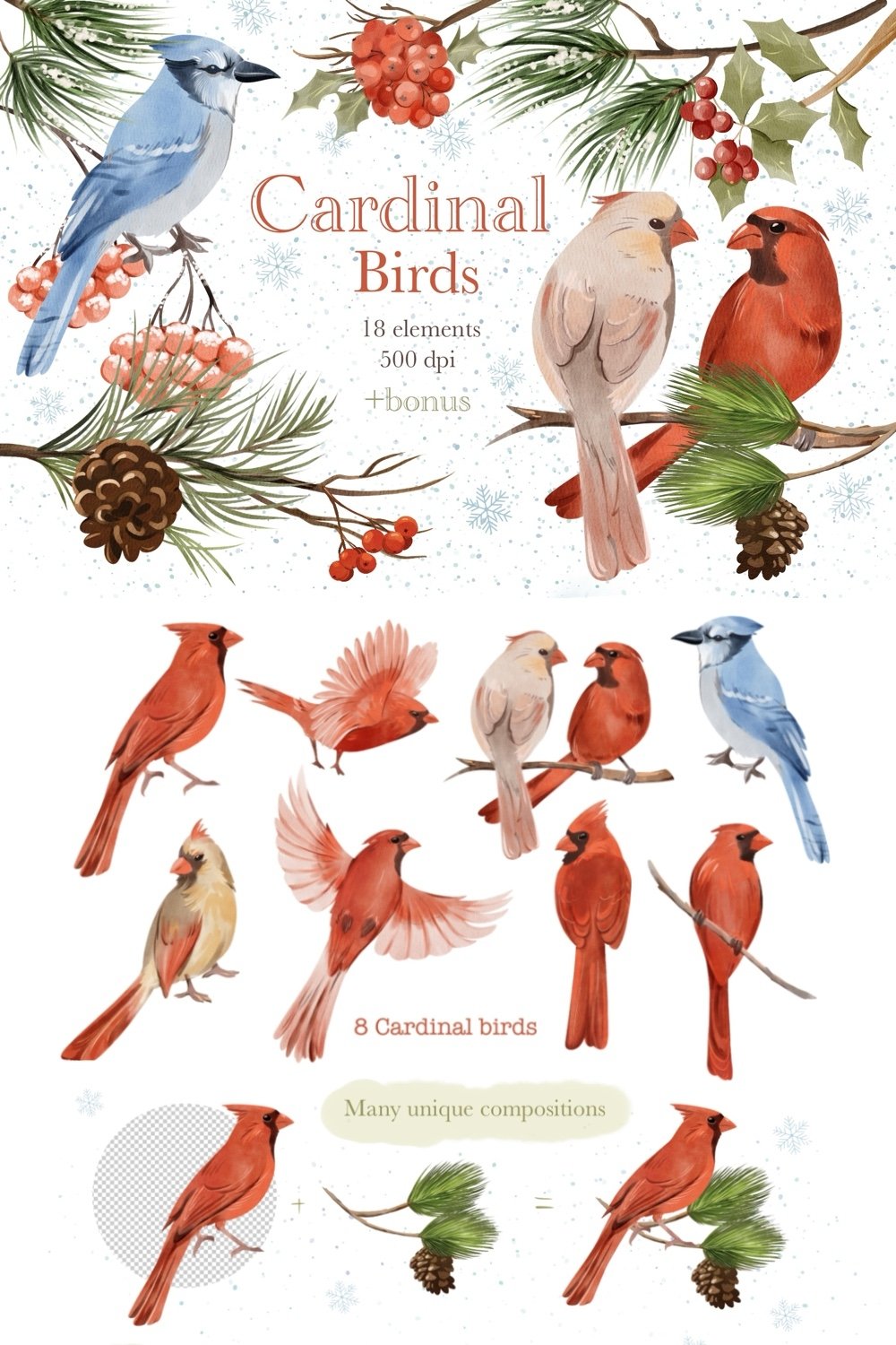 Winter Cardinal Birds Clipart