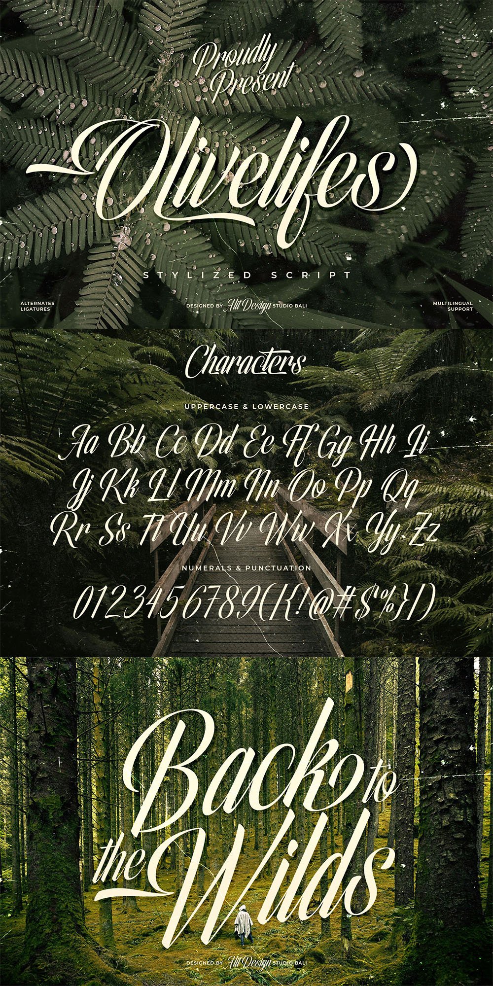 Olivelifes Script Font