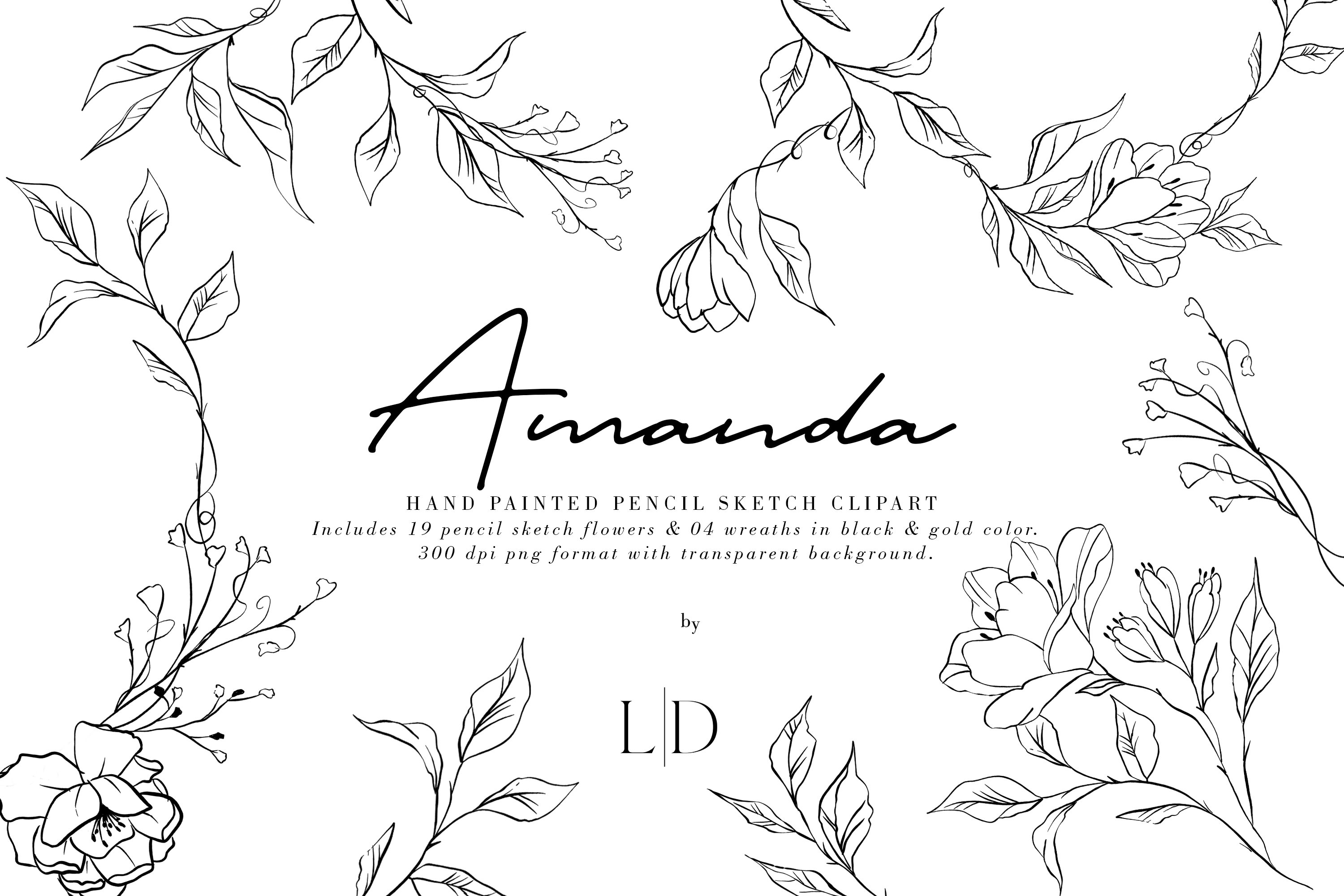 Amanda | Line Art