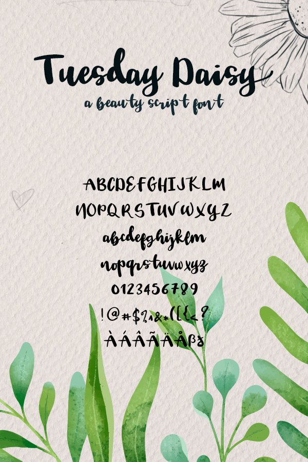 Tuesday Daisy - a beauty script font (823927)