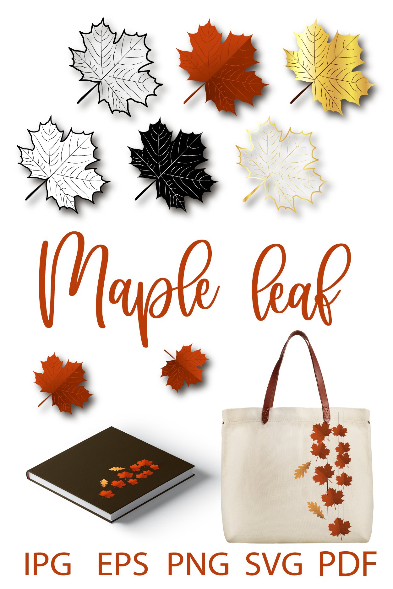 Maple Leaf SVG, Fall Leaves SVG, Sublimation