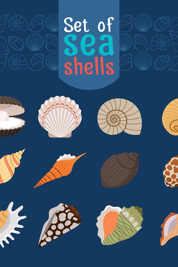 Seashells icons in flat style