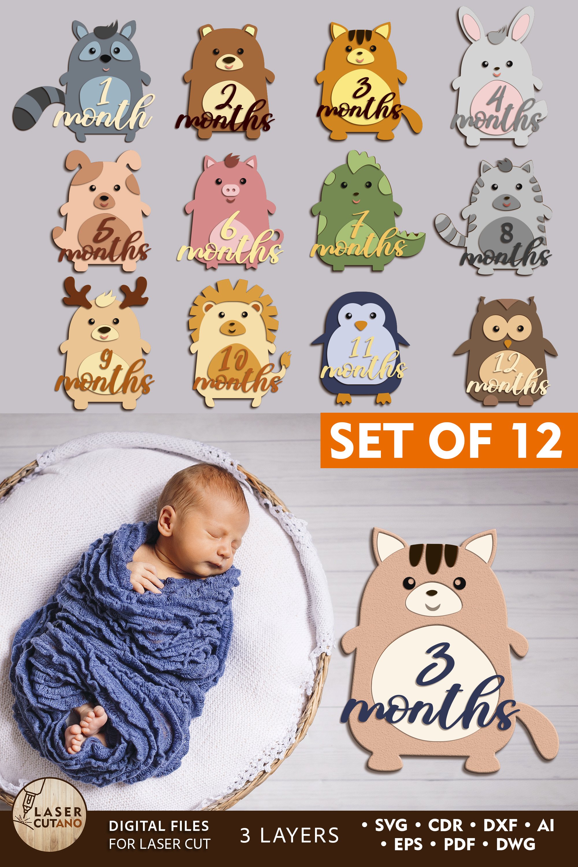 Monthly Milestone Bundle for Cute Baby Photos