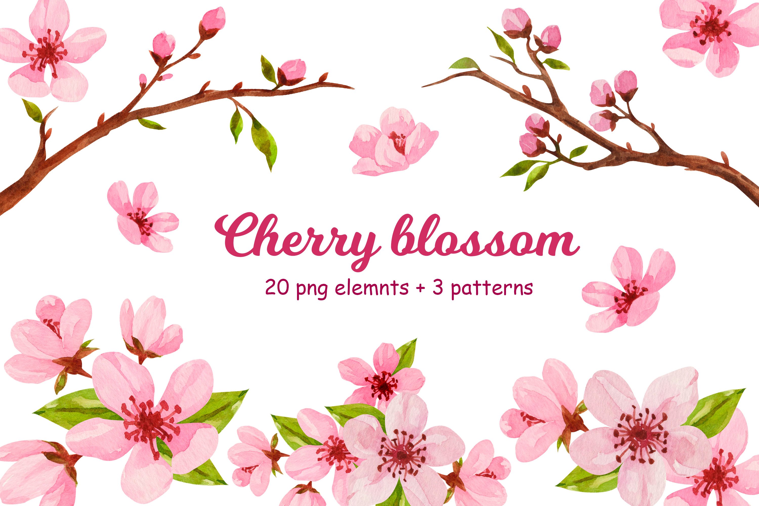 Watercolor cherry blossom clipart. Spring floral (1232248)