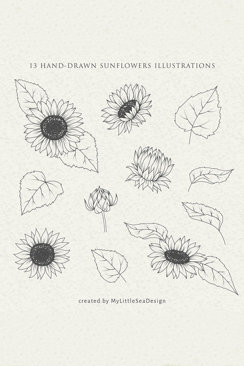 Sunflower Svg Bundle|Fall Floral Png Clipart