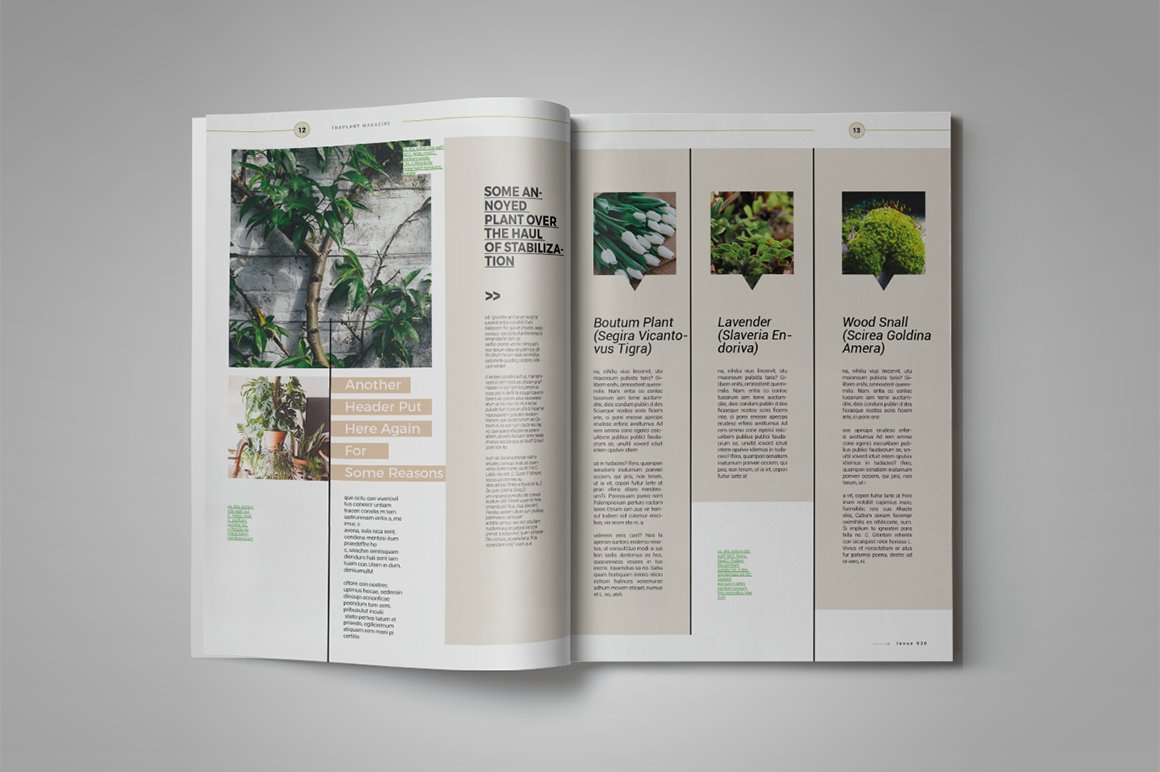 The Plant | Magazine Template (1002962)