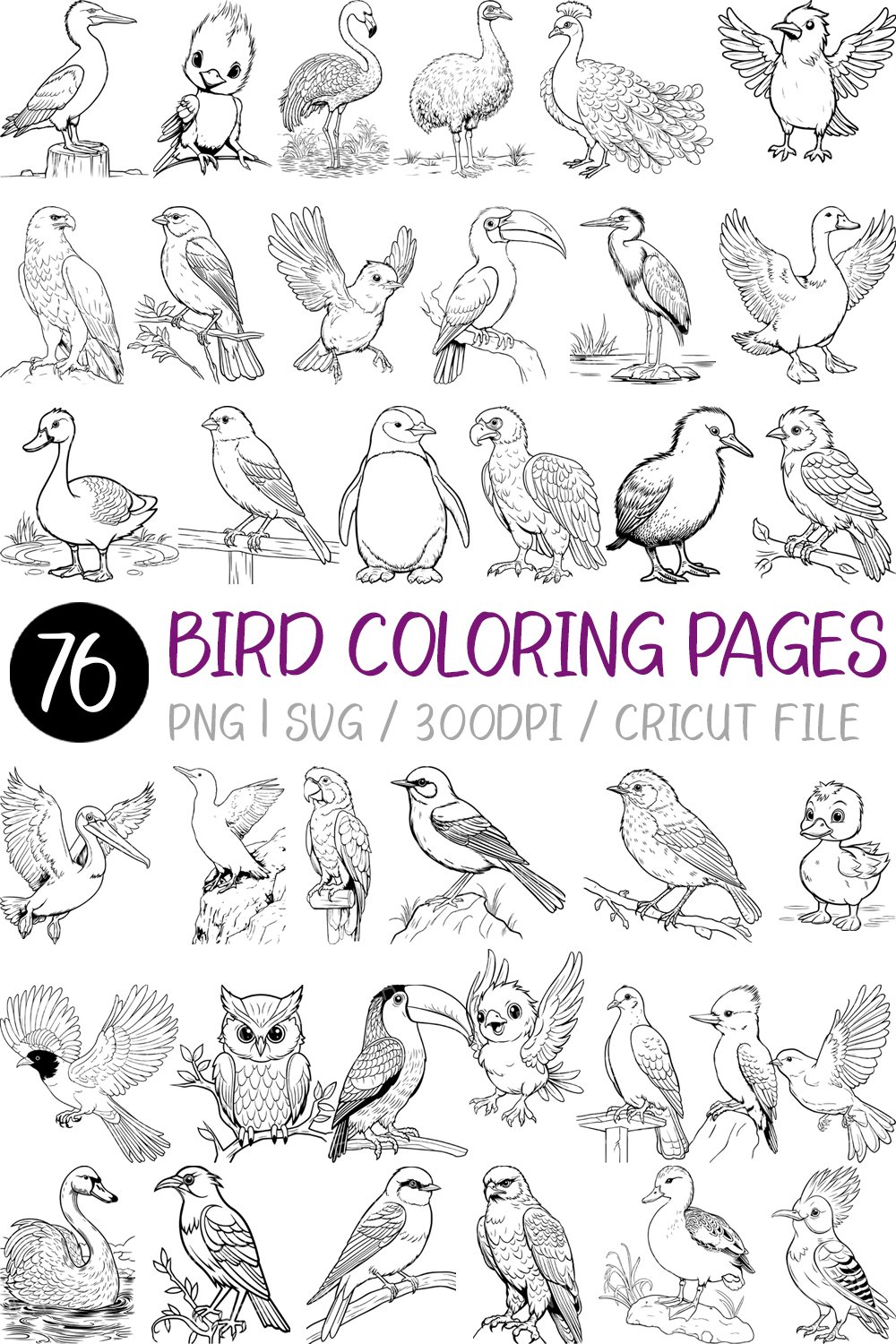 Bird Coloring Pages | Coloring book for kids