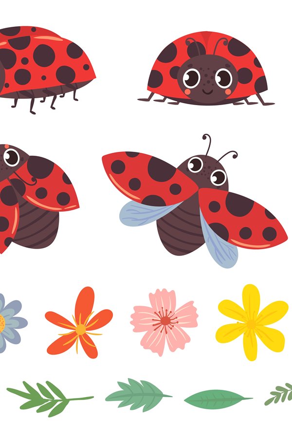 Cartoon ladybug. Cute ladybugs with flowers and leaves, red