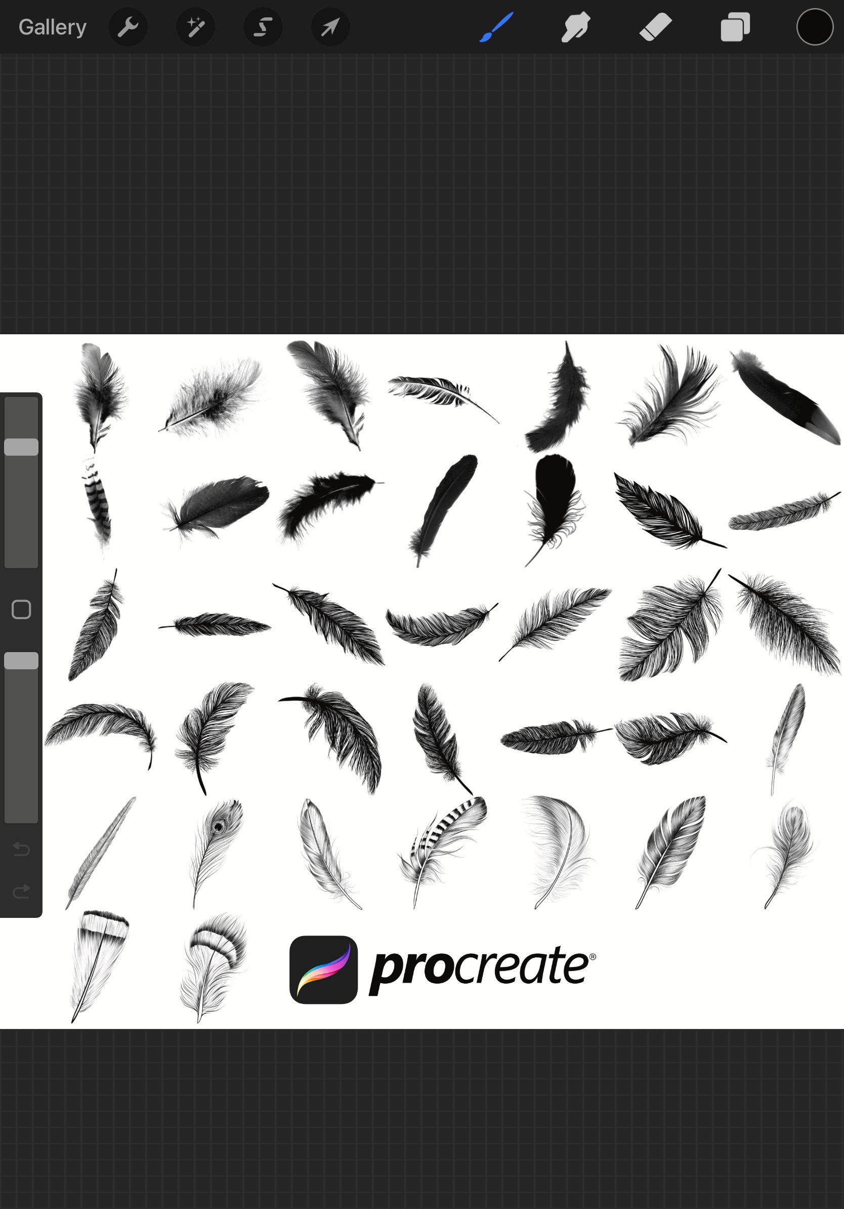 Feathers Set 1 Procreate Brush Stamps, 37 Feather Stamps