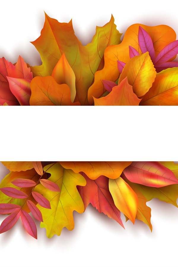 Autumn background with forest fall leaves. October holiday n