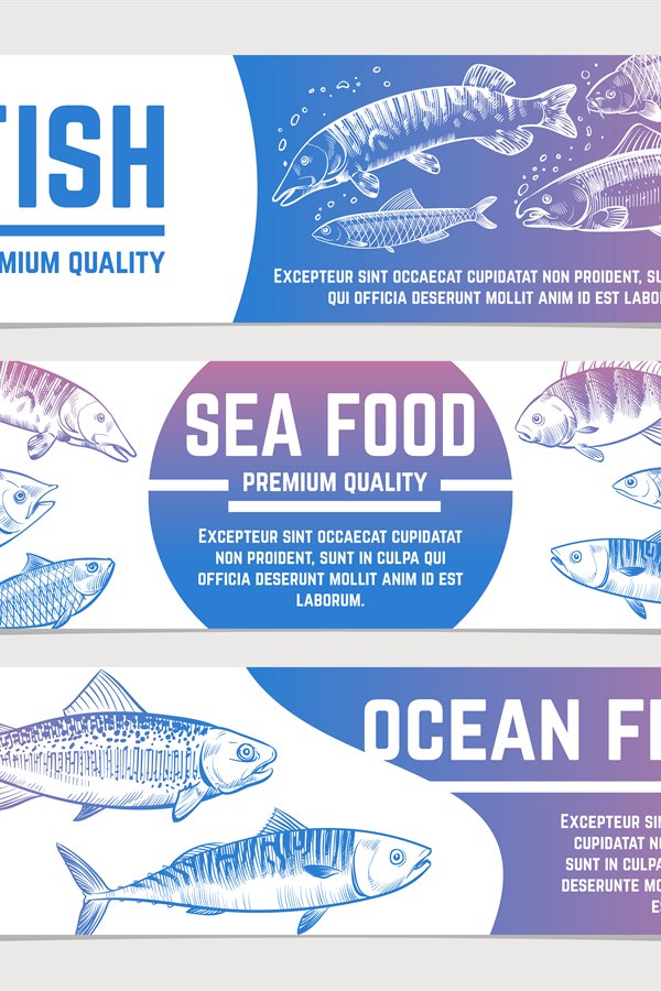 Fish banners. River and ocean sketch fishes seafood packagin