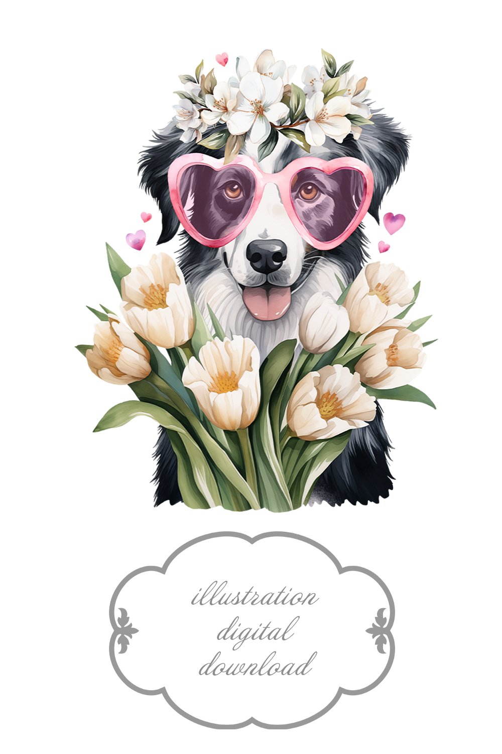Valentine Aussie (3087781)