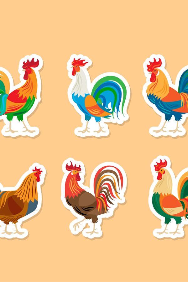 Roosters stickers set